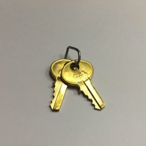 Industrial Radiography | Sentinel 880 Delta Source Projector